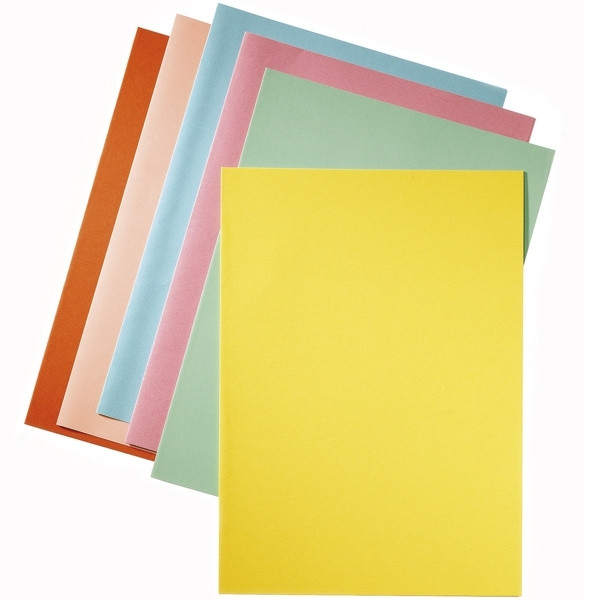 Esselte assorted A4 colour paper inserts (50-pack) Esselte 123ink.ie