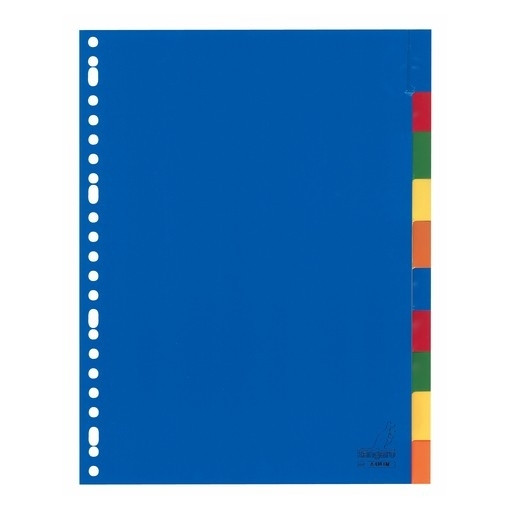 Kangaro coloured A4 plastic tabs with 10 tabs (23 holes) Kangaro 123ink.ie